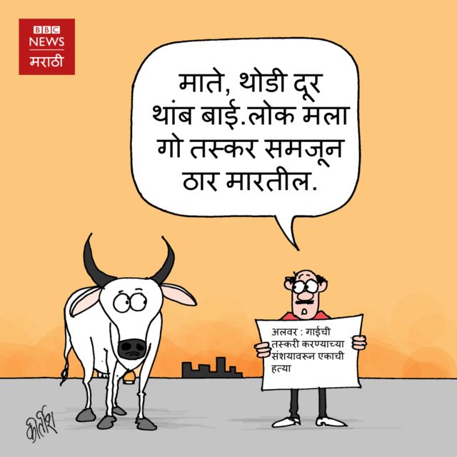 आजचं कार्टून: 'सावधान, पुढे गाय आहे!' - BBC News मराठी
