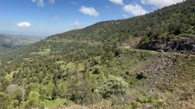 Gaara woshaa: Daandii konkolaataa waggaa waggaan lubbuun itti gabbaramu ...