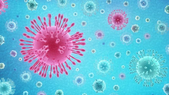 Coronavírus: eventos devem ser adiados e aulas devem ser suspensas no ...