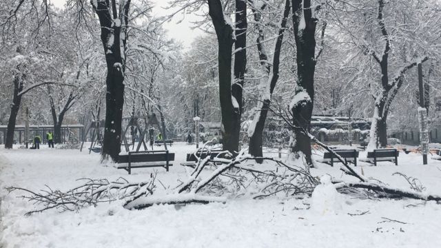 Sneg u Srbiji - saobraćajni kolaps, stradali ukrasi i grudvanje sa ...