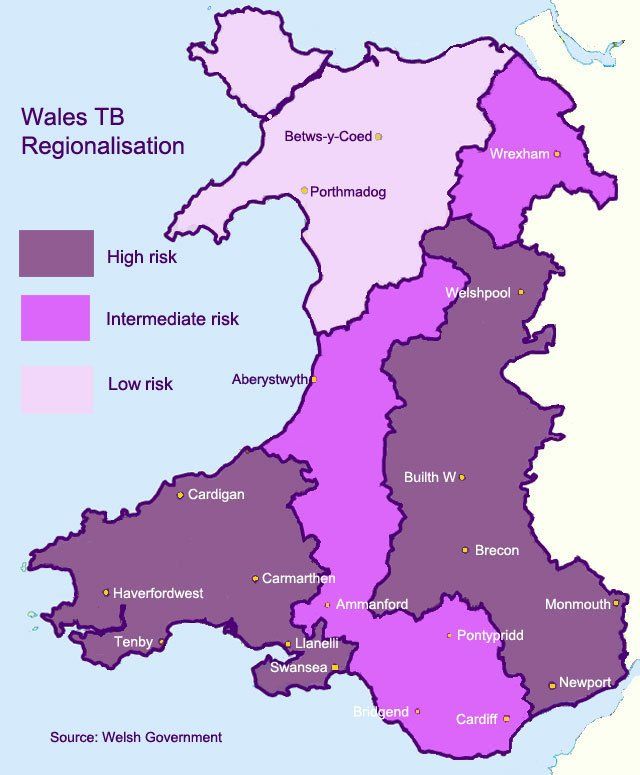 Bovine TB risk map outlined in new Wales approach - BBC News