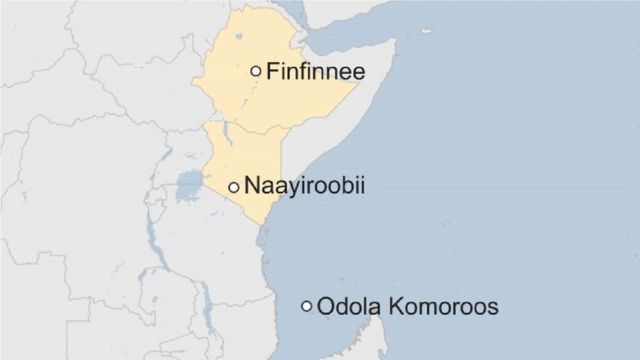 "Balaa kanarraa hafuun isaanii, akka waan haaraa dhalatanitti fudhanna ...