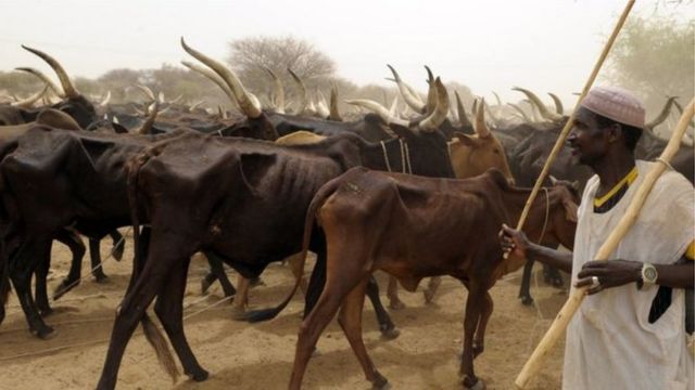 Ruga Settlement: Ganduje ní káwọn Fulani darandaran kúrò lápá gúúsù ...