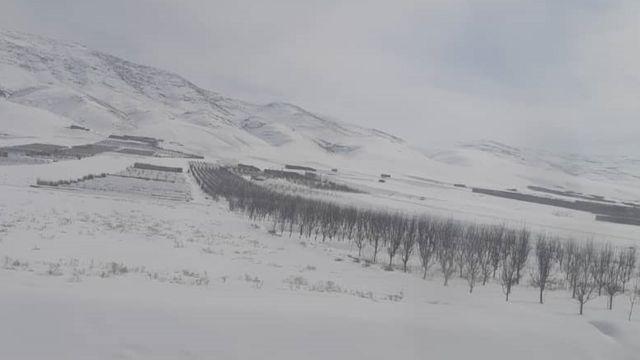 "افغانستان کې تېر کال تر کښت لاندې ځمکه دوه لکه هکتاره پراخه شوې" - BBC ...