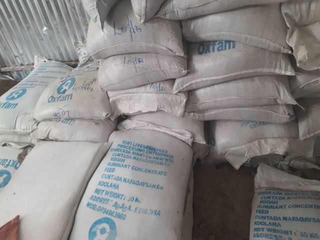 "Xal loo helay dhibaatada abaaraha deegaannada Soomaalida" - BBC News ...