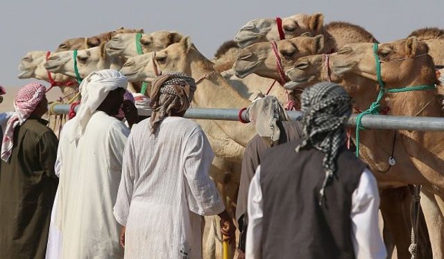 Saudiyya ta kori raƙuman Qatar daga kasarta - BBC News Hausa