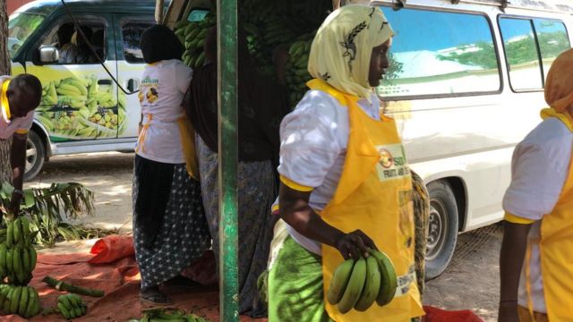 Haweeney Soomaali ah oo dhexda u xiratay tayeynta Mooska - BBC News Somali