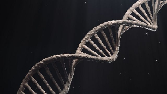 Estudo liderado por brasileiros usa DNA para traçar origens dos ...