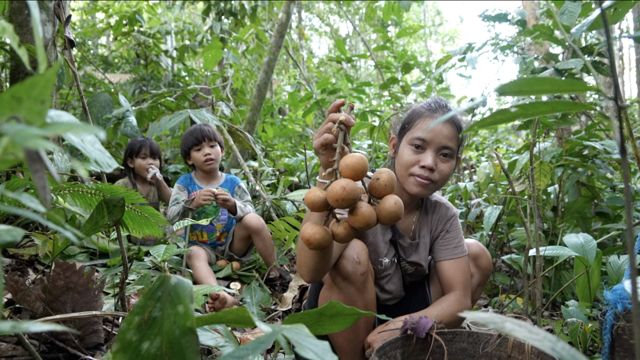 Punan Batu: Kisah suku pemburu-peramu terakhir Kalimantan, 'sampai ...