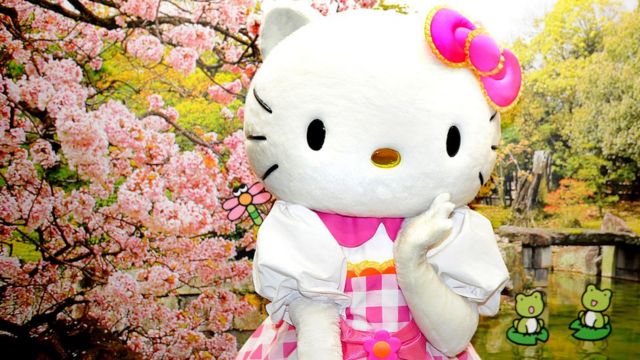 Hello Kitty та Двейн Джонсон стануть партнерами по фільму - BBC News ...