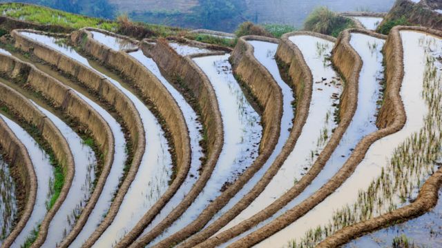 Keajaiban sawah terasering multi-generasi Suku Hani di China, 'harmoni ...
