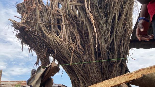 Oyo, igi odan kàyééfì: Kò yẹ kí a bọ igi Ọdán yìí nítori pé ẹ̀rọ agégi ...