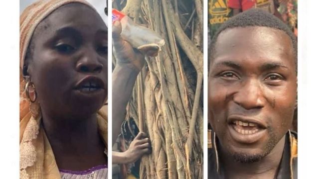 Oyo, igi odan kàyééfì: Kò yẹ kí a bọ igi Ọdán yìí nítori pé ẹ̀rọ agégi ...