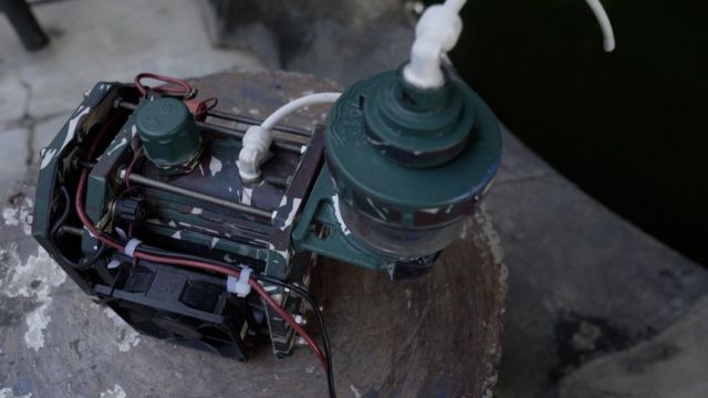 Nikuba: Apa itu dan bagaimana kelanjutan kontroversinya? - BBC News ...