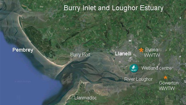 Burry Inlet sewage European court case looms - BBC News