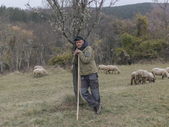 Srbija, selo i životinje: Kako je arheolog iz Pirota odlučio da bude ...