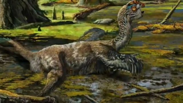 Spesies baru dinosaurus ditemukan di Cina selatan - BBC News Indonesia