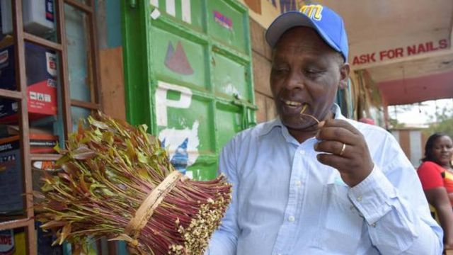 Jimaa qama'uun fayyaa sammuu ni miidhaa? - BBC News Afaan Oromoo