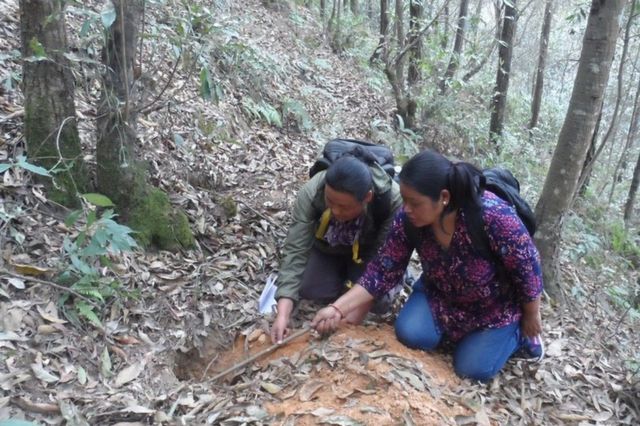 Crise climatique : trois femmes aident la faune et la flore à survivre - BBC News Afrique