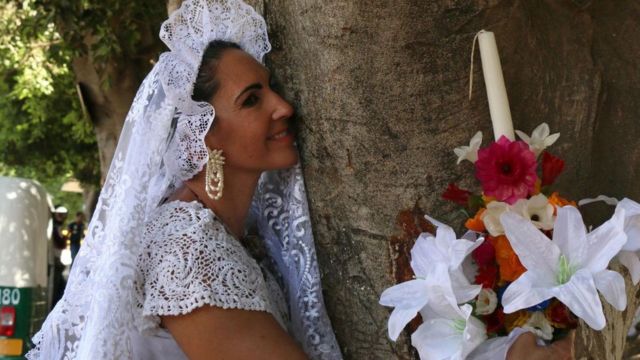 Women marry trees: Àwọn obìnrin ń ṣe ìgbéyàwó pẹ̀lú igi láti ṣàfihàn ...