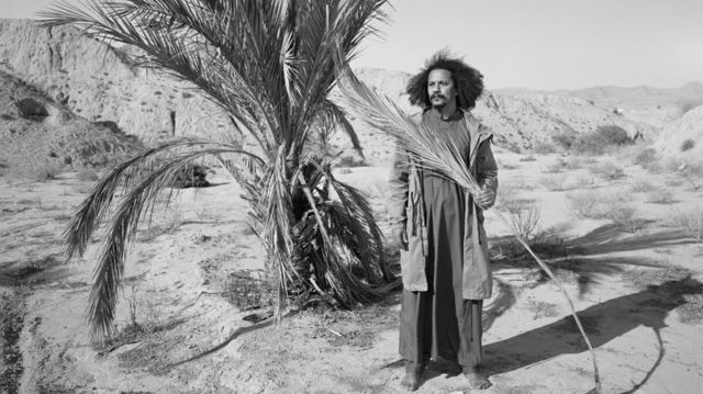 Hotunan da suka lashe gasar ɗaukan hoto ta duniya ta kamfanin Sony ...