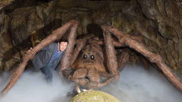 Harry Potter: Why dem name dis insect after im enemy? - BBC News Pidgin