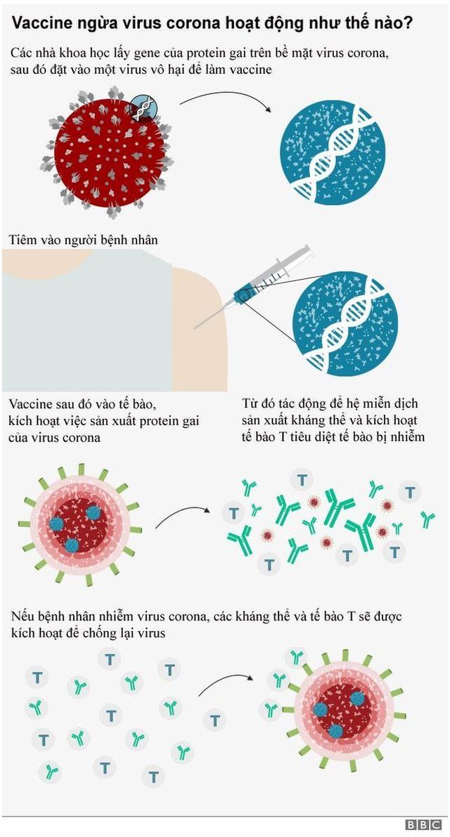 Virus corona: Bệnh nhân đầu tiên ở Anh được tiêm thử nghiệm vaccine ...