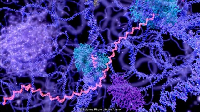 As teorias para o surgimento das primeiras células - e da vida na Terra ...