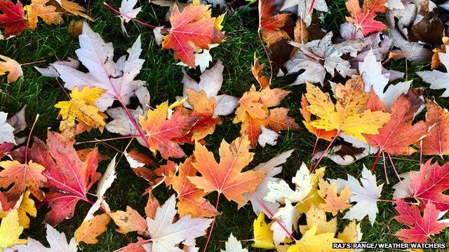 Why has it been such a pretty autumn? - BBC Weather