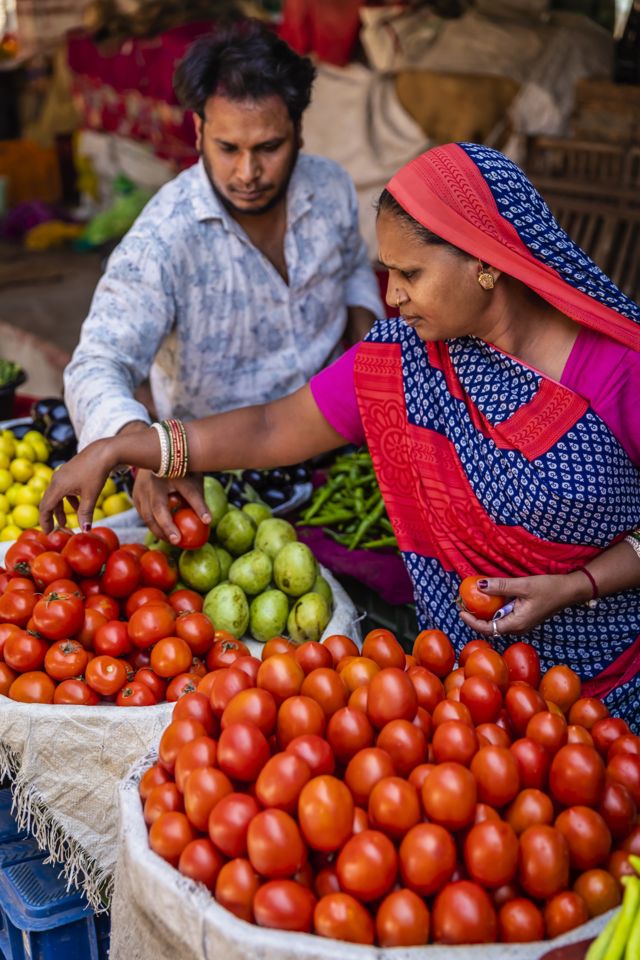Tomato: టమోటాలు భారత్‌కు ఎలా వచ్చాయి? రెండు శతాబ్దాల కిందట వీటిని తింటే ...