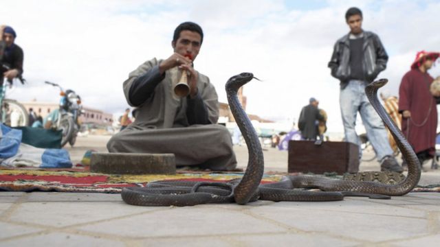 Snake Worship in Nigeria: Wo ìlú mẹ́rìn-in tó ń bọ tàbí sin ejò bí ...