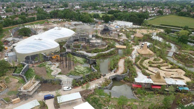 Chester Zoo 'playground' for orangutans and gibbons opens - BBC News