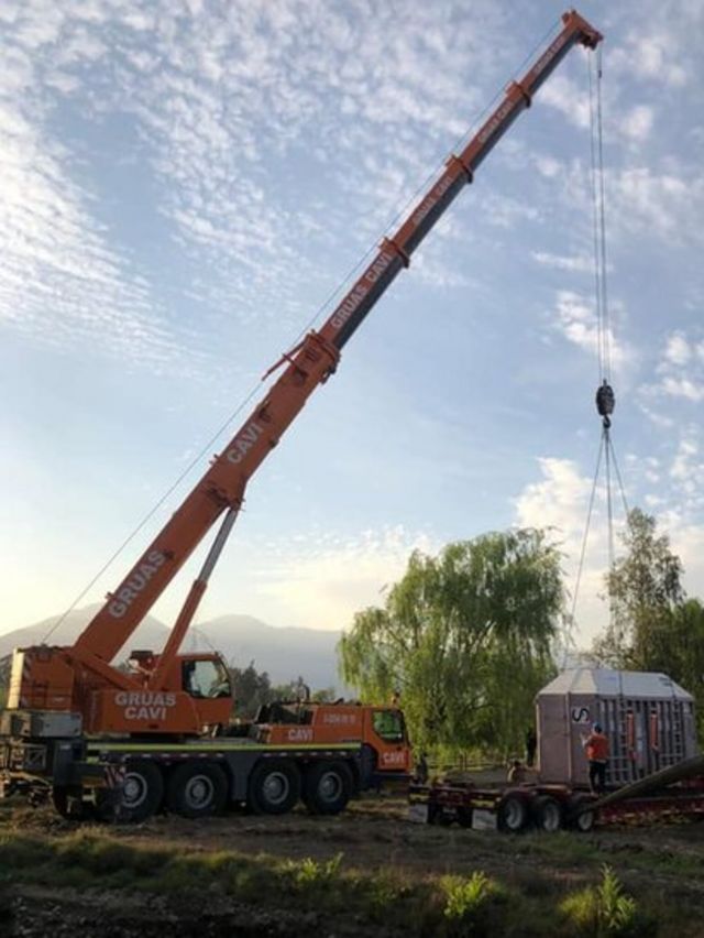 Como transportar um elefante de avião? A viagem de Ramba ao Brasil ...
