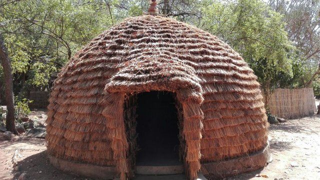 Watoto mapacha wanazaliwa wengi zaidi sasa tofauti na wakati mwingine ...