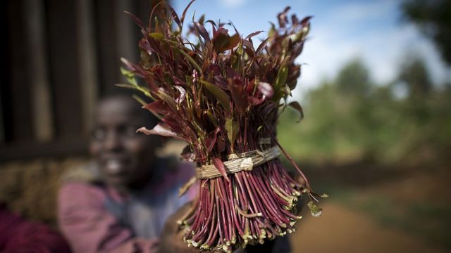 Jaadka Somaliland iyo Puntland: Ma ku adkaatay xakameyntiisa? - BBC ...