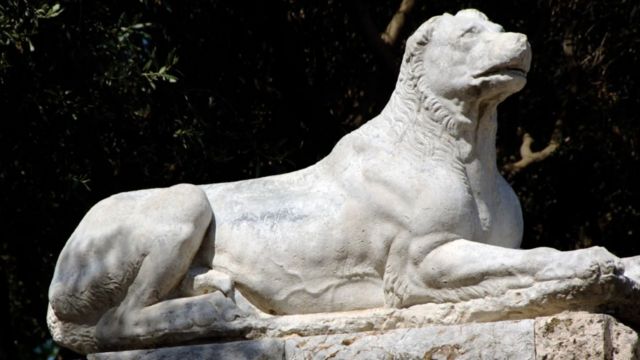 Životinje: Ekscentrične rase pasa koje su nestale - BBC News na srpskom