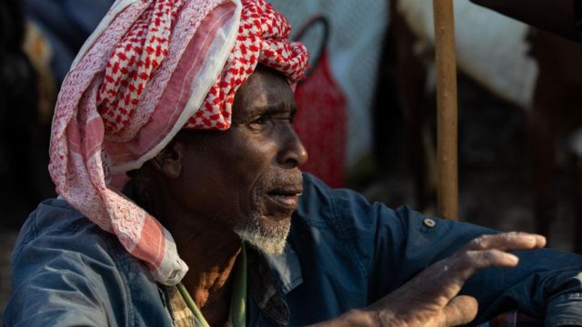 Sirni Gadaa Oromoo Walloo kufee ka’e har’a maalirra jira? - BBC News ...