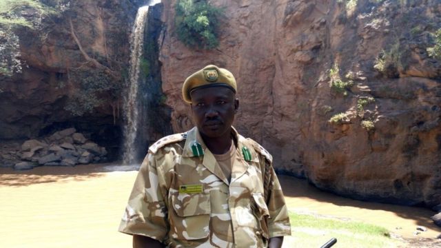 Flamingo wapungua kwa kiwango cha kuogofya Kenya - BBC News Swahili