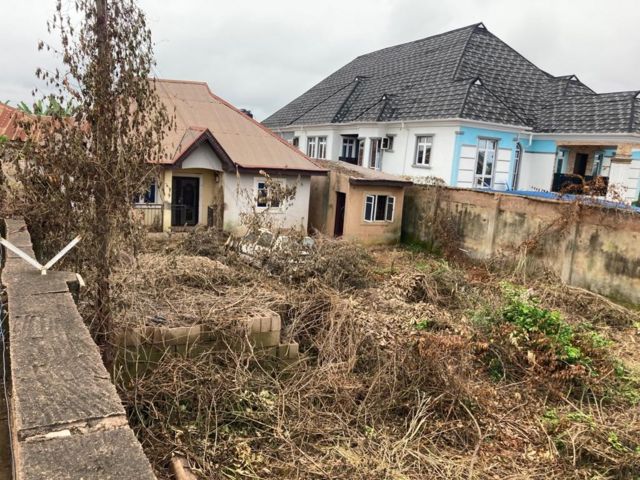 Aderemi John Abiola: Tori of man dem see im skeleton for im house for ...