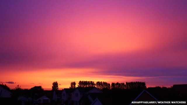 Pretty in pink - BBC Weather