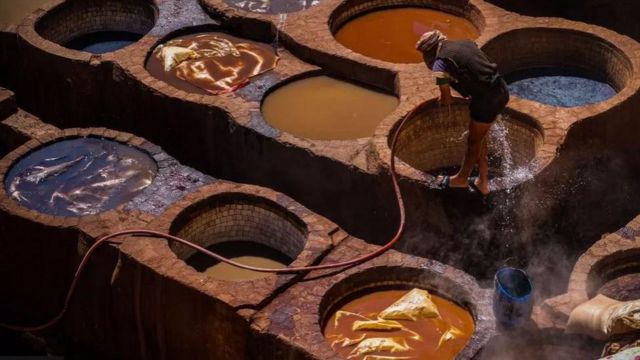 Suuraalee Afriikaa filatamoo torban kanaa: Baala magariisaa hanga ...