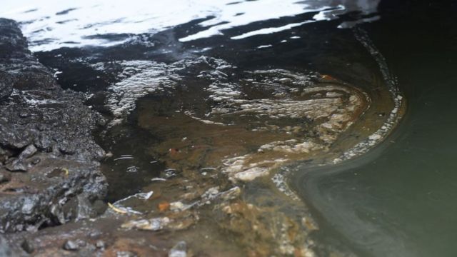 Netherland court give Ogoni widows go ahead to cari Shell go court ...