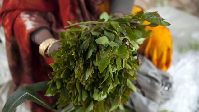 Haawaasni Oromoo Jabuutii keessaa 'doorsifamaa jirra' jedhan - BBC News ...