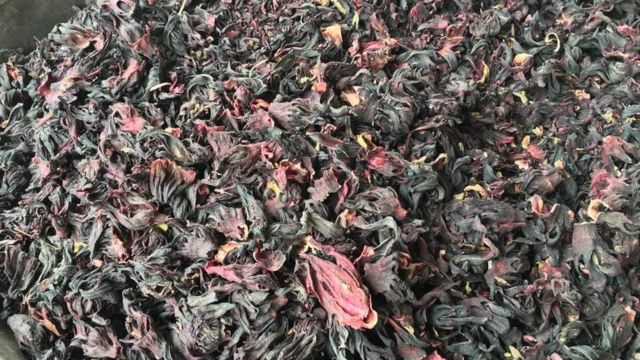 How Nigeria dey make $35million ontop Zobo export - BBC News Pidgin