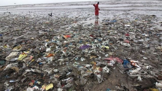 பிளாஸ்டிக் கழிவுகள்: பெருங்கடலில் மிதக்கும் உணவு சார் கழிவுகள் ...