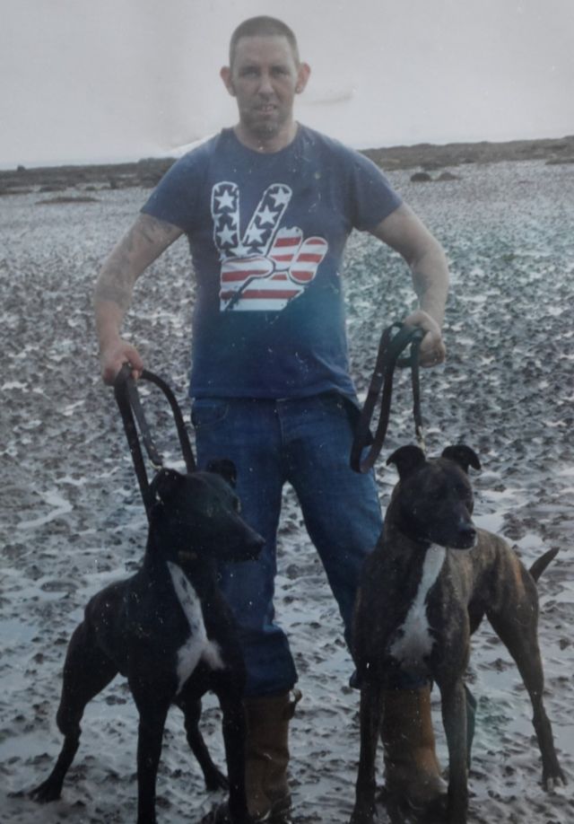 How Are Bait Dogs Used How Are Bait Dogs Used