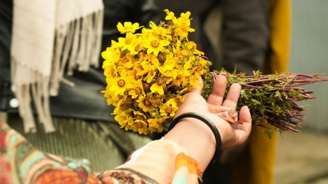 Bara haaraa Itoophiyaa 2015 suuraaleedha - BBC News Afaan Oromoo