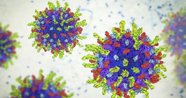 Virus pembunuh kanker beri harapan bagi pasien stadium lanjut - BBC ...