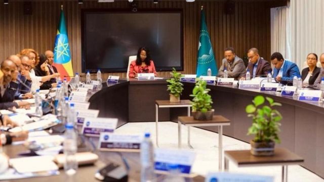 Magaalaan Finfinnee hayyama daldalaa dabalatee tajaajila 46 qaamni ...