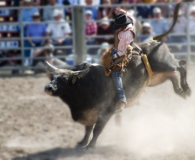 Hoosegow, lariat, quadroon y otras palabras en inglés que no creerías ...